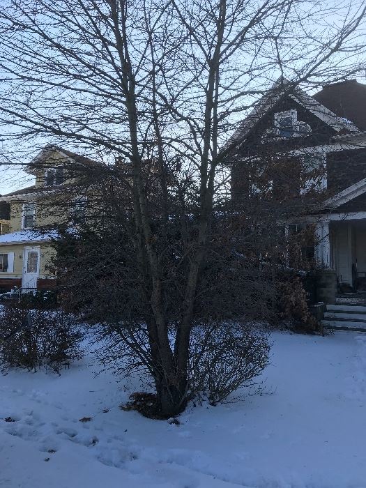 ESTATE SALE-'A RED TAG SALE'-PACKED WITH... starts on 1/19/2018