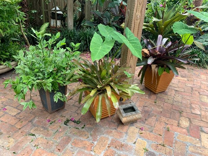 BAY HARBOR BEAUTY in Bay Harbor Islands, FL starts on 8/29/2020