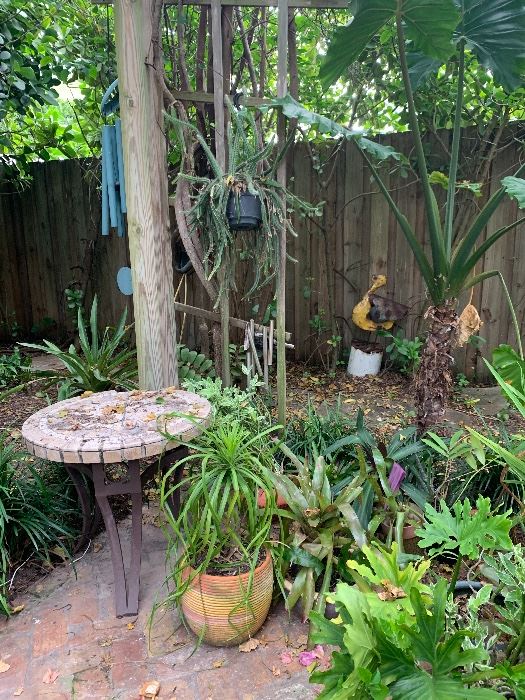 BAY HARBOR BEAUTY in Bay Harbor Islands, FL starts on 8/29/2020