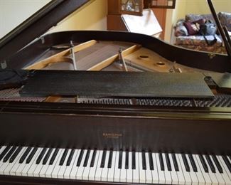 Cait's Orland Park Estate Sale starts on 7/28/2021