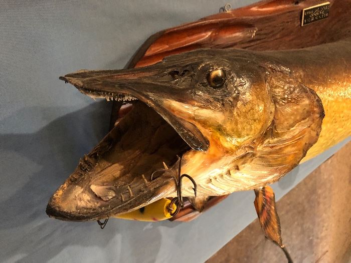 Beautiful Household Sale! in Scandia, PA starts on 10/20/2022