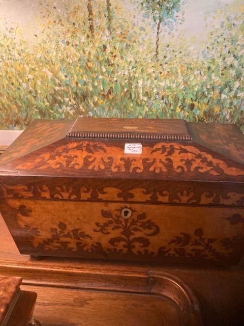 spring break selections in Houston, TX starts on 3/17/2023