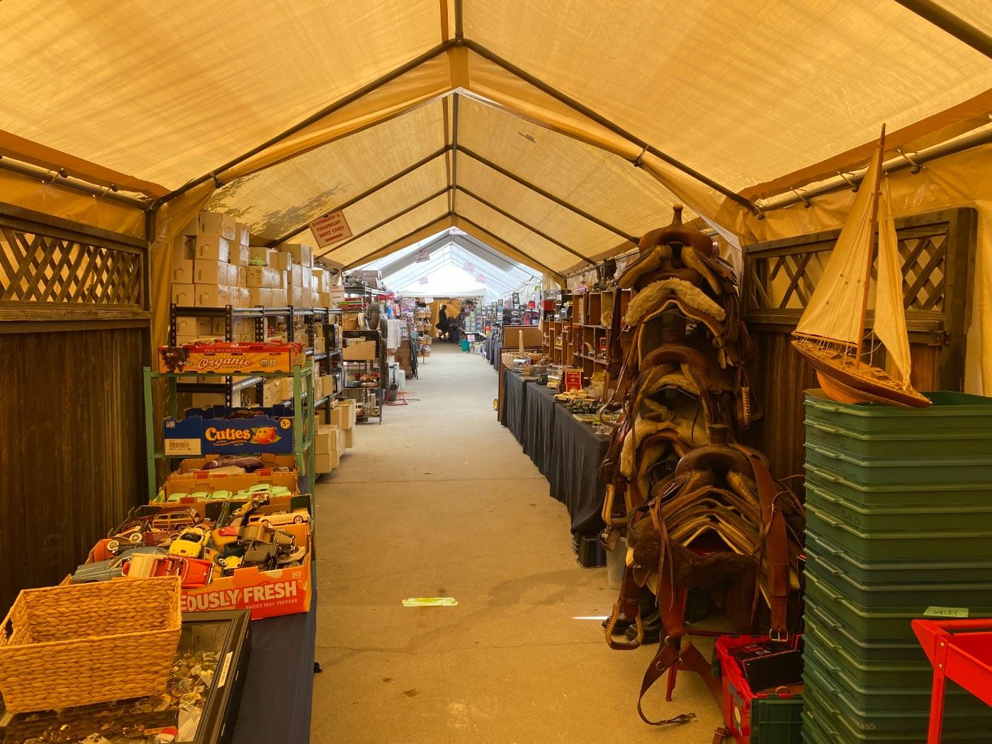 Phase One Gigantic Collector of Things Estate... starts on 5/19/2023