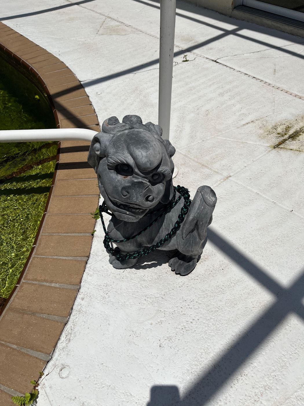 Alvis estate finds in Sarasota, FL starts on 5/20/2023