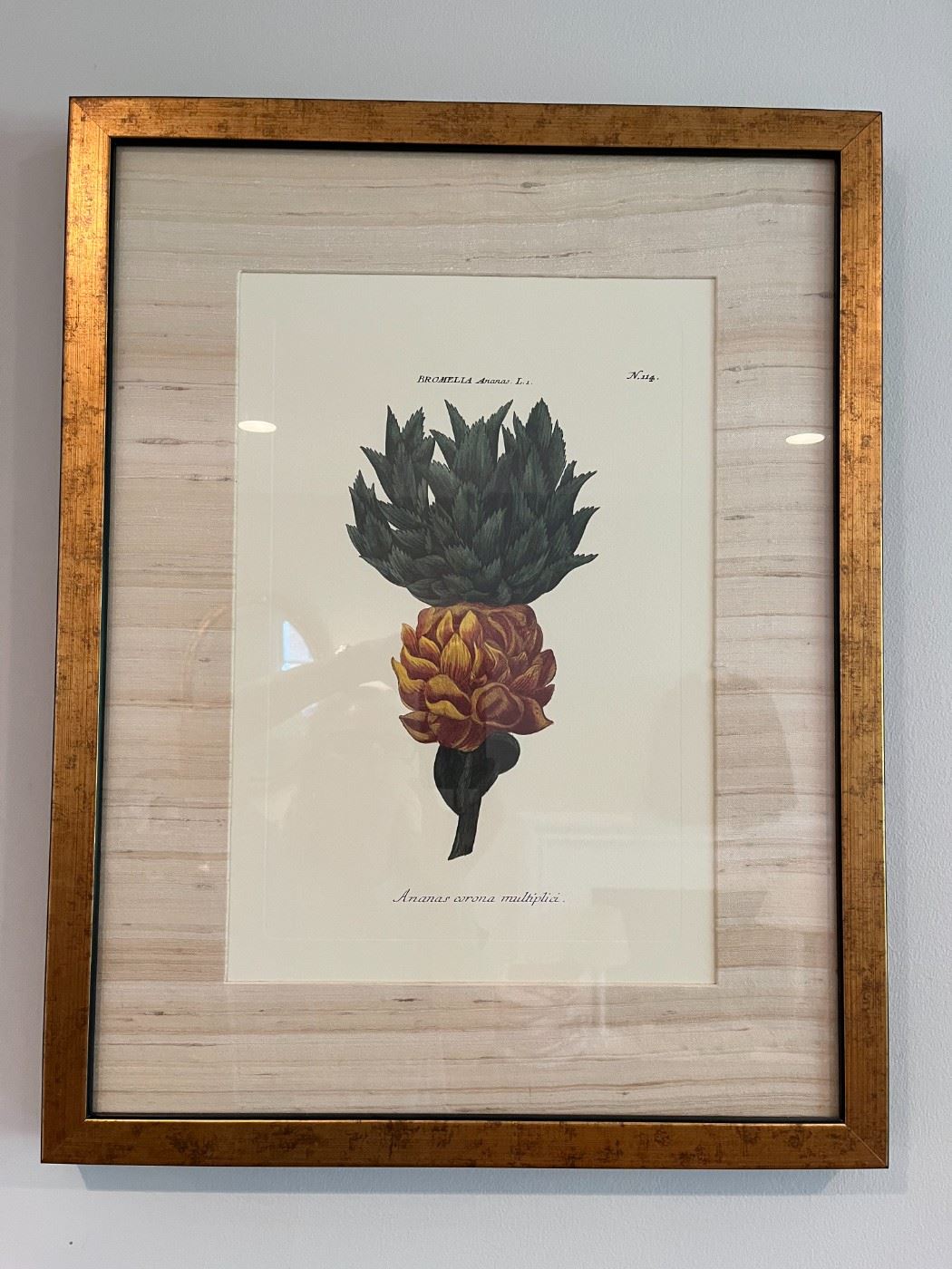 Lovely Glenview Estate Sale starts on 6/8/2023