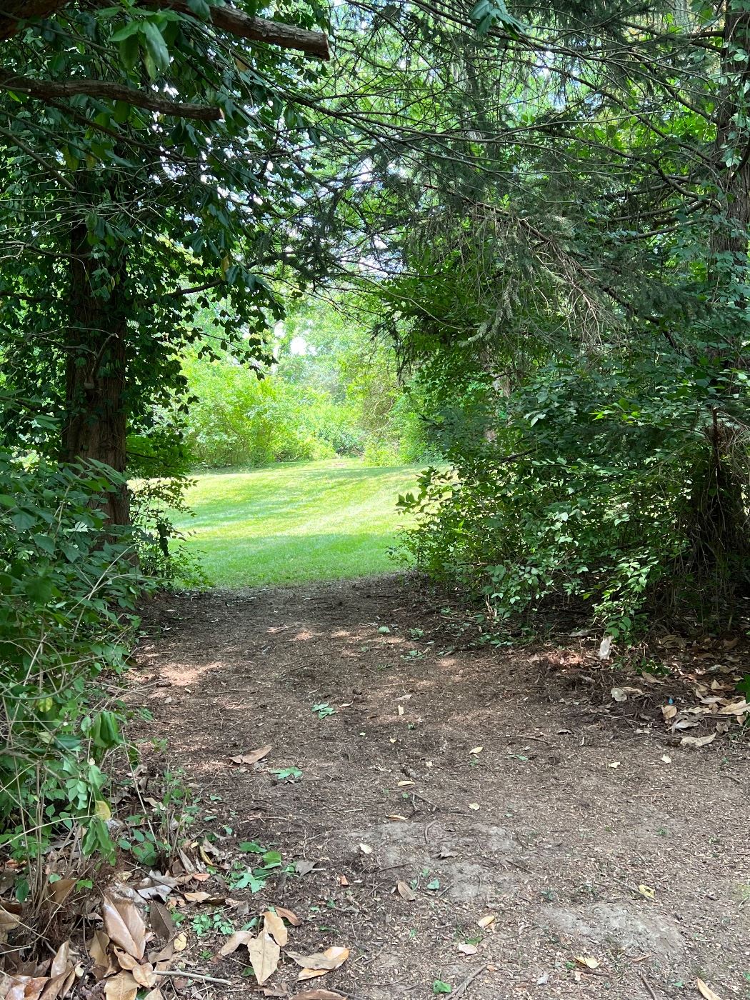 DAVIS PLACE ESTATE SALES in Ladue, MO starts on 6/24/2023