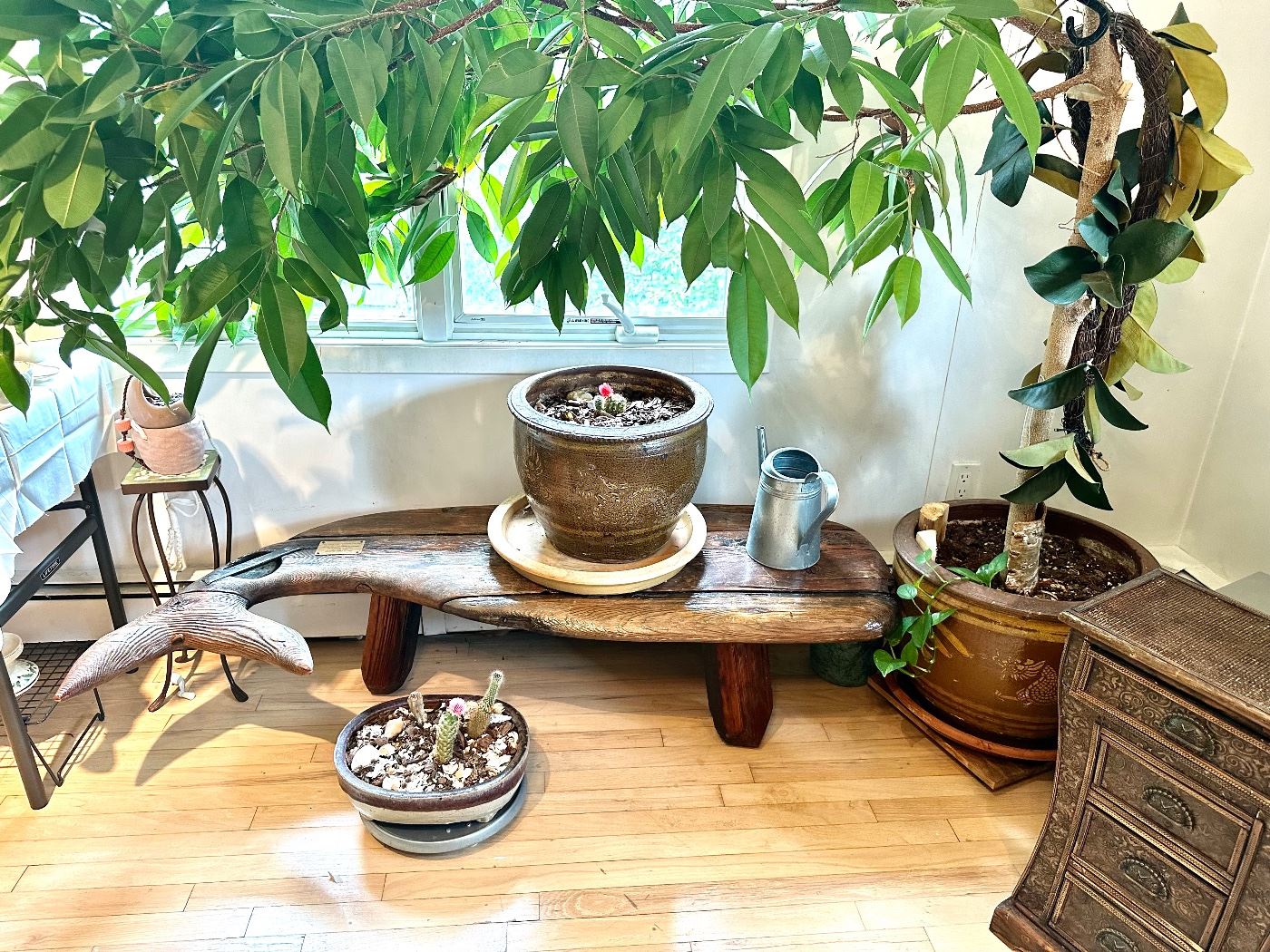 RECYCLED TREASURES-AN OASIS OF TRANQUILITY! starts on 7/13/2023