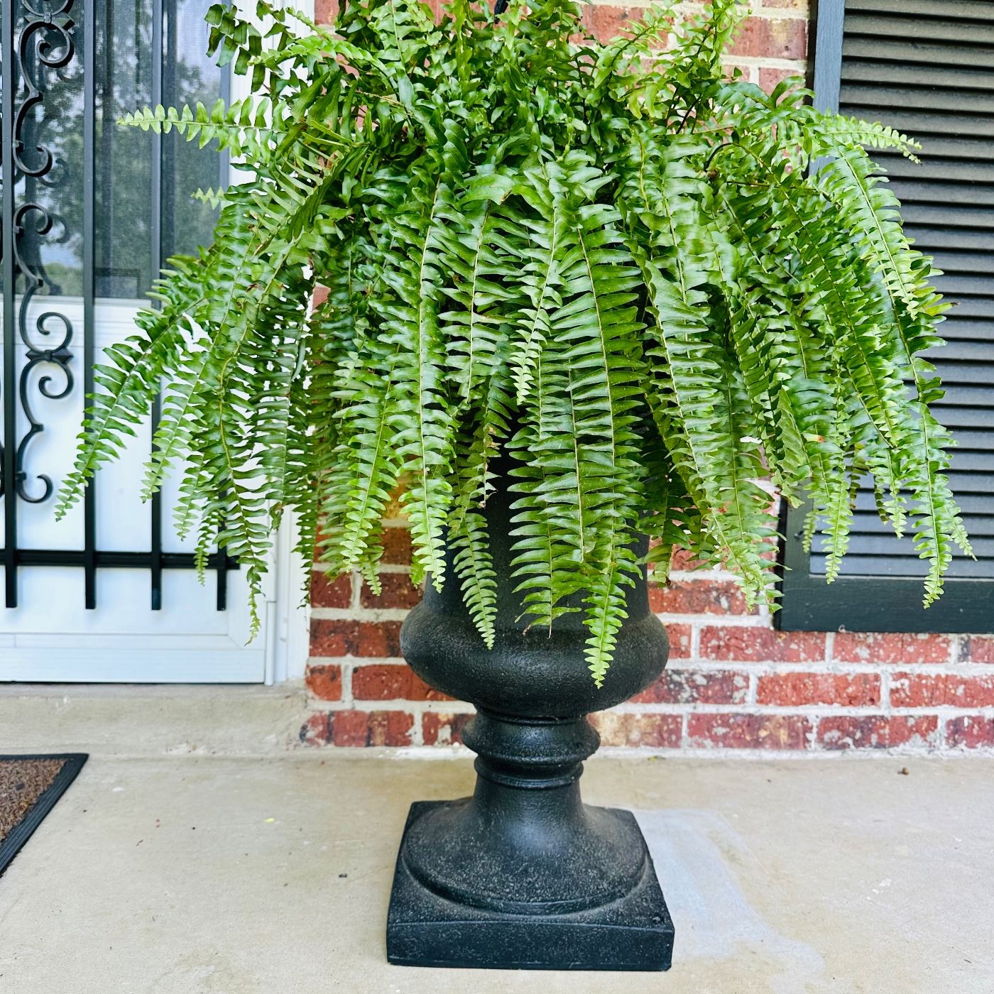 Saturday Savings ! EVERYTHING, WE SAID EVERYTHING... starts on 7/20/2023