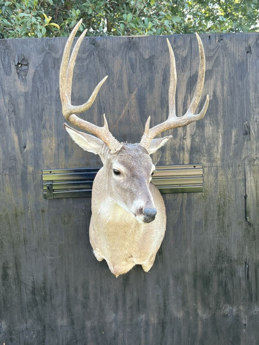 Joshua Horns & Lures Online Auction starts on 7/11/2023