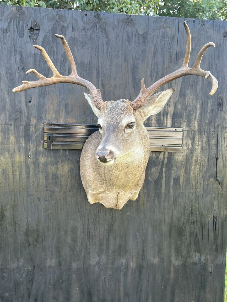 Joshua Horns & Lures Online Auction starts on 7/11/2023