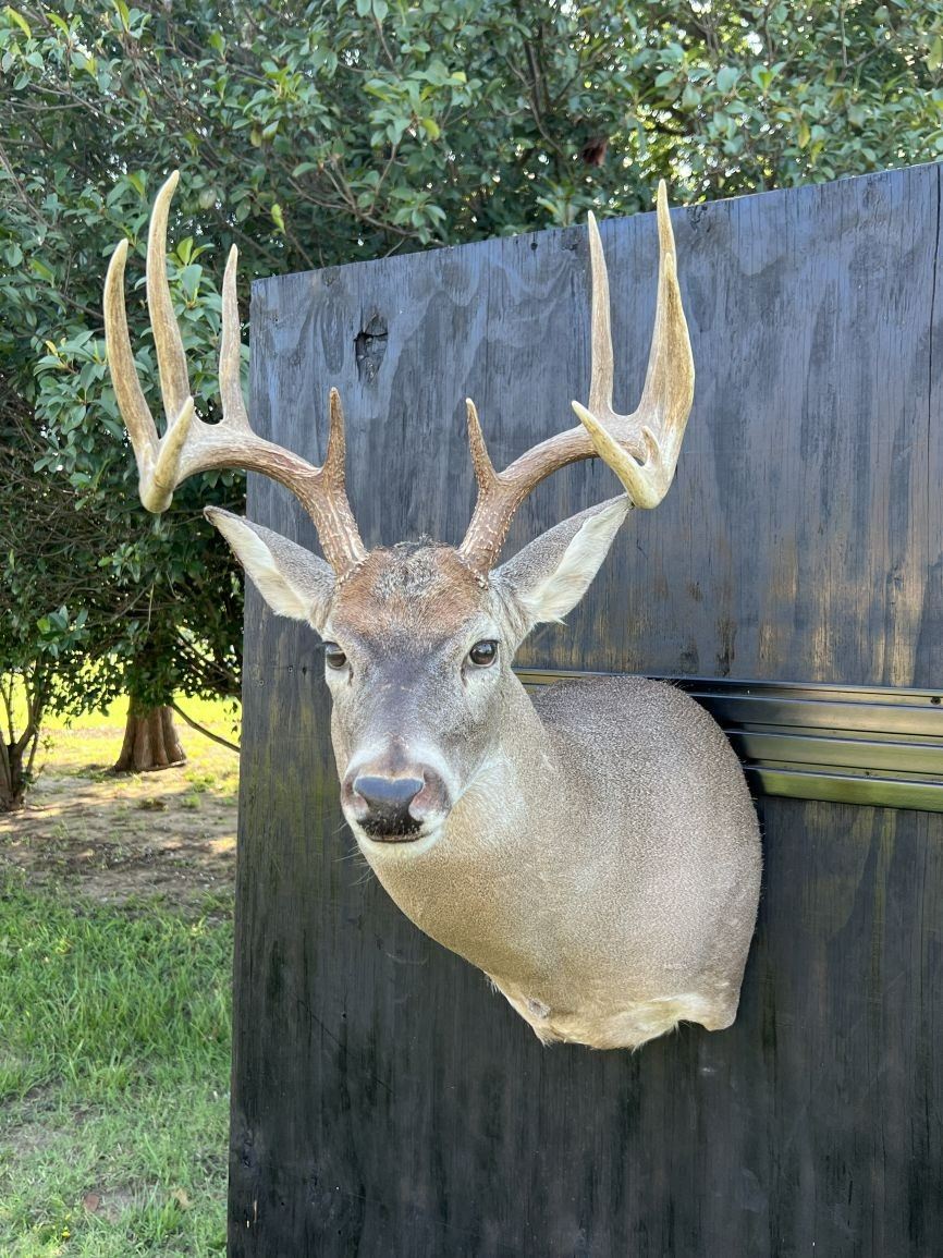 Joshua Horns & Lures Online Auction starts on 7/11/2023