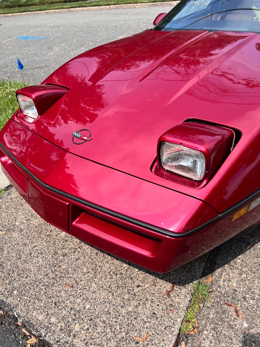 Diggers delight in Wayne, NJ starts on 7/28/2023