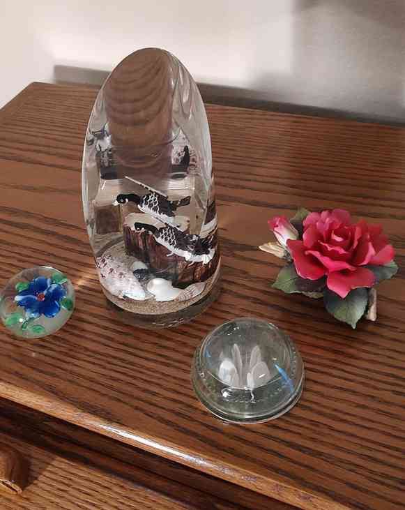 Sun City Bears - Georgetown TX starts on 7/30/2023