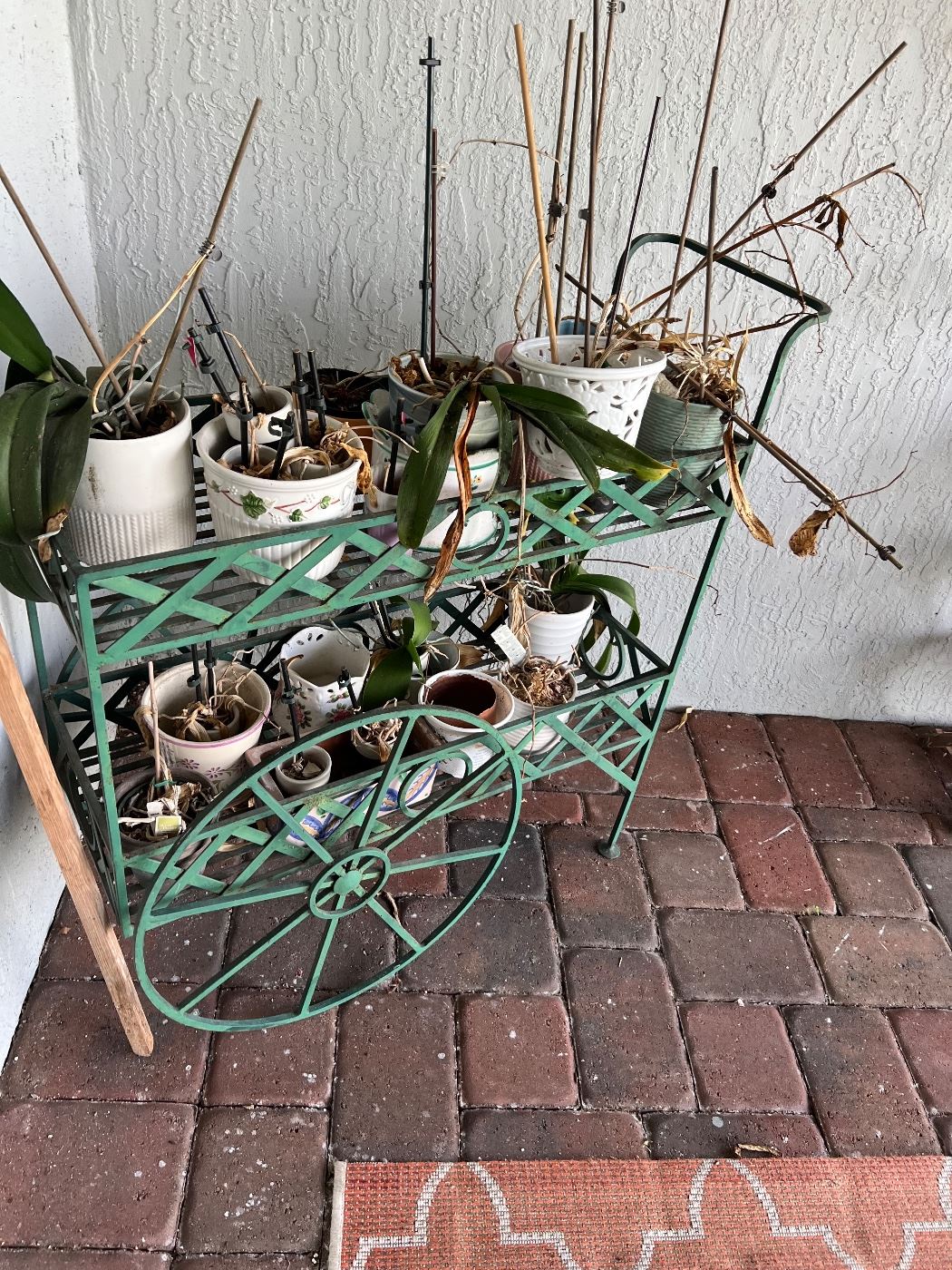 Fantastic items quality don't miss this Sale starts on 8/17/2023