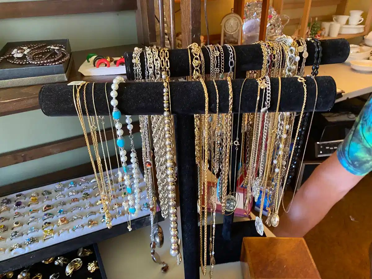 Parma Double Household Dig Out in Cleveland, OH starts on 8/24/2023