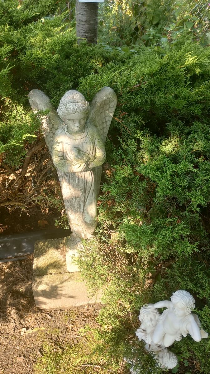 Tulip Street Estate sale in Schenectady, NY starts on 9/15/2023