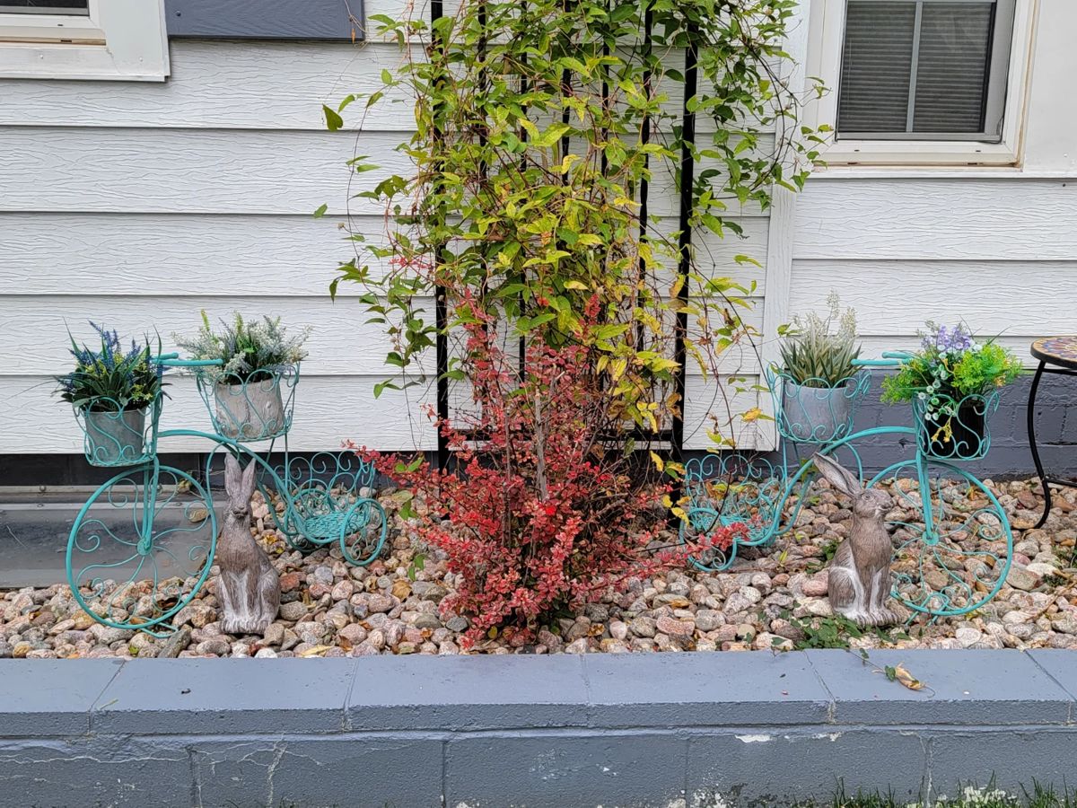 Cheyenne - Yard decor, Regency era decor starts on 11/4/2023
