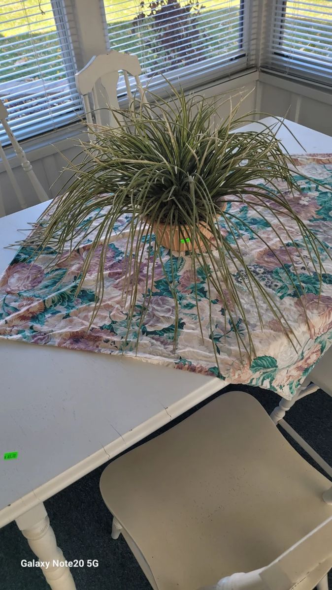 One Day Crown Point Estate SALE !!!!! starts on 11/17/2023