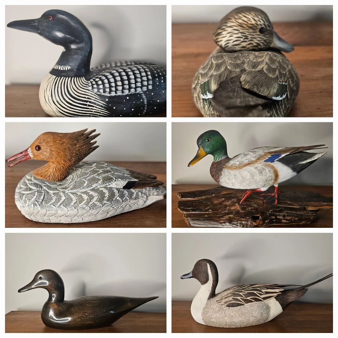 Collectible Duck / Decoy Collection starts on 10/2/2023