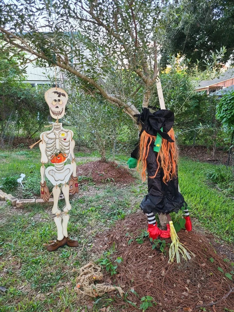 Polly Ranch BLOW OUT Sale in Friendswood, TX starts on 10/20/2023