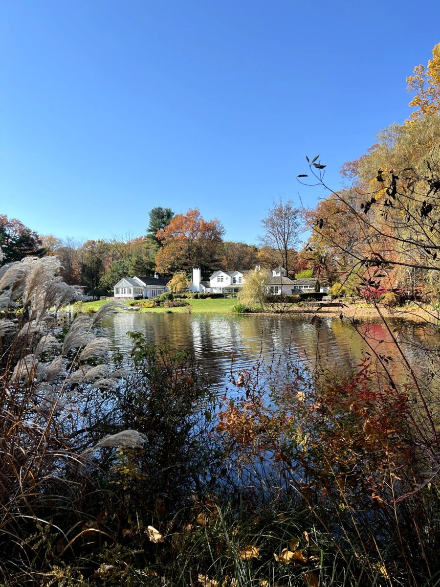 Full Contents of Redding, Connecticut Estate... starts on 11/9/2023