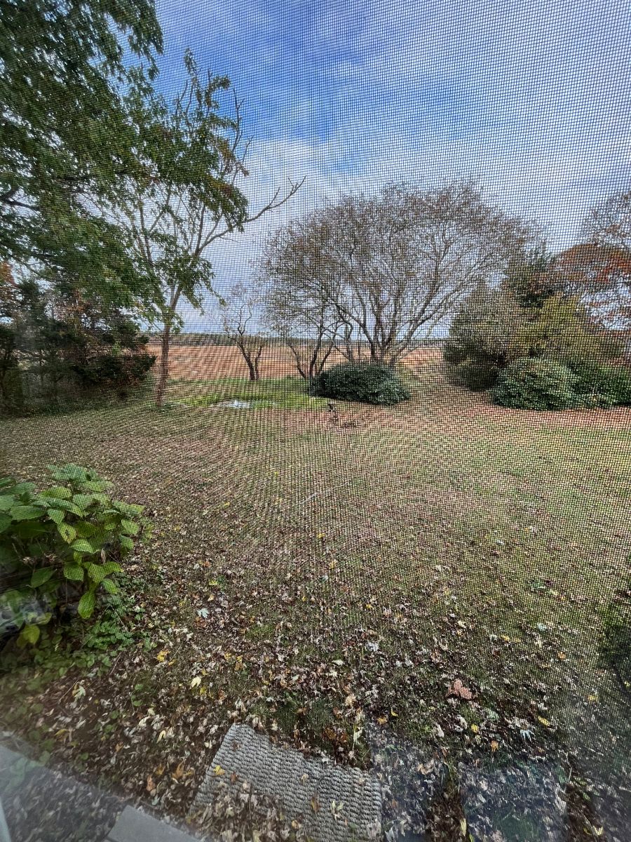 Wonderful Marshfront Eastham Cottage Estate!! starts on 11/10/2023
