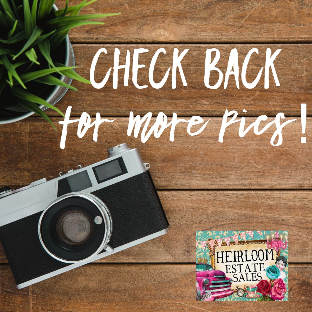 WHERE THE BUFFALO ROAM! by Heirloom Estate Sales starts on 11/10/2023