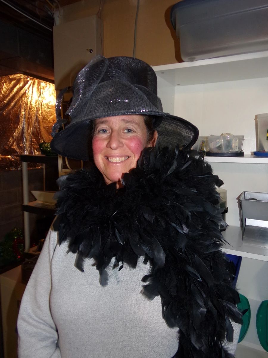 Daisy Estate Sales in Irondequoit, NY starts on 12/14/2023