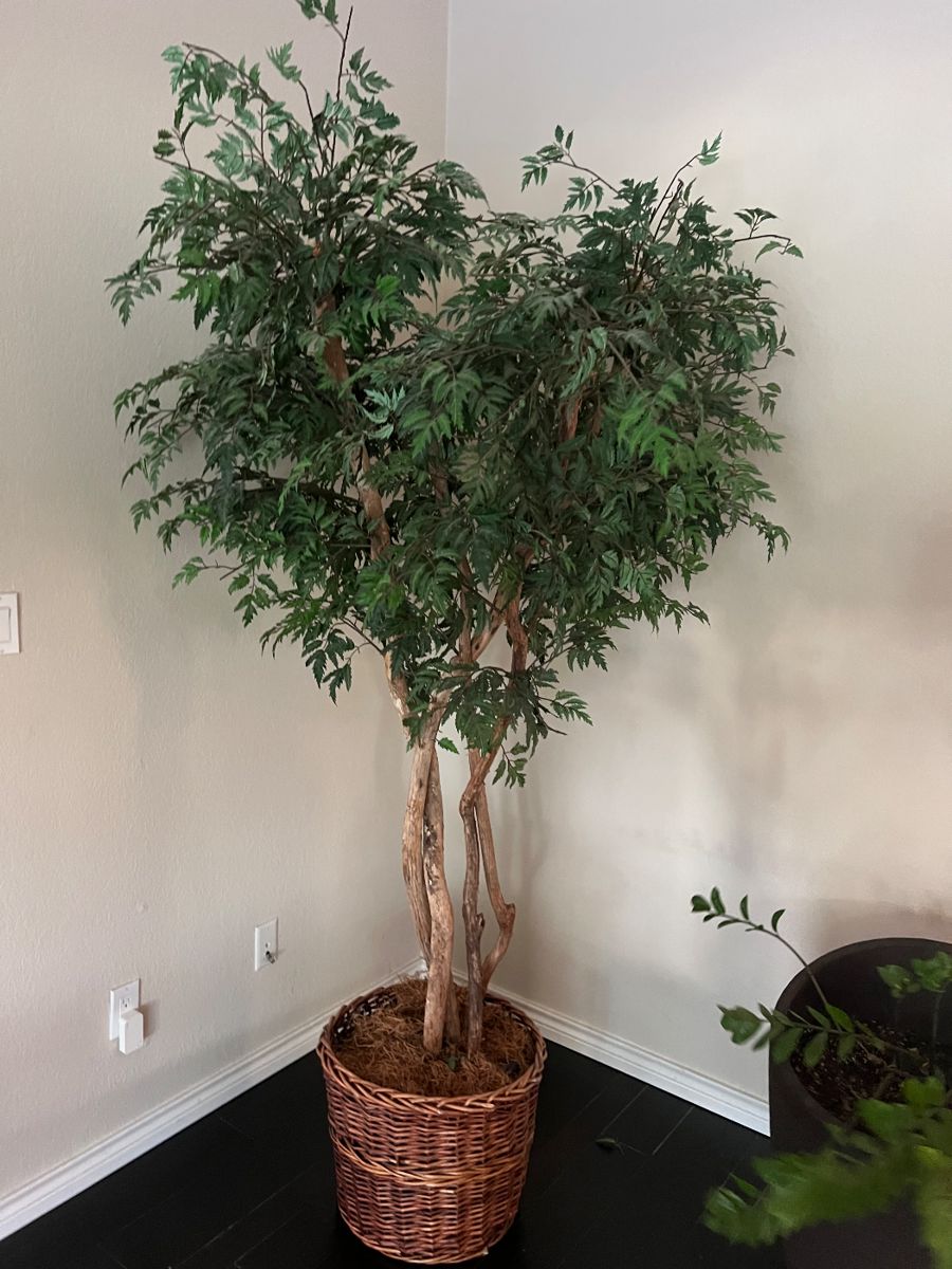 DUSTY GOLD TROPHY CLUB in Roanoke, TX starts on 12/2/2023