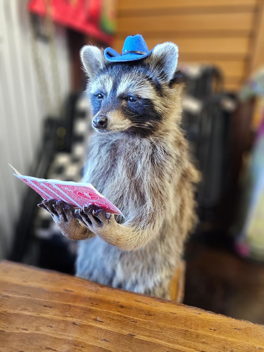 Bluebonnet Estate Sales in Odessa, TX starts on 12/14/2023