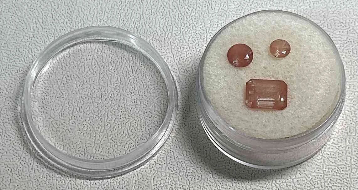 A GEM A DAY -SEQUIM in Sequim, WA starts on 12/10/2023