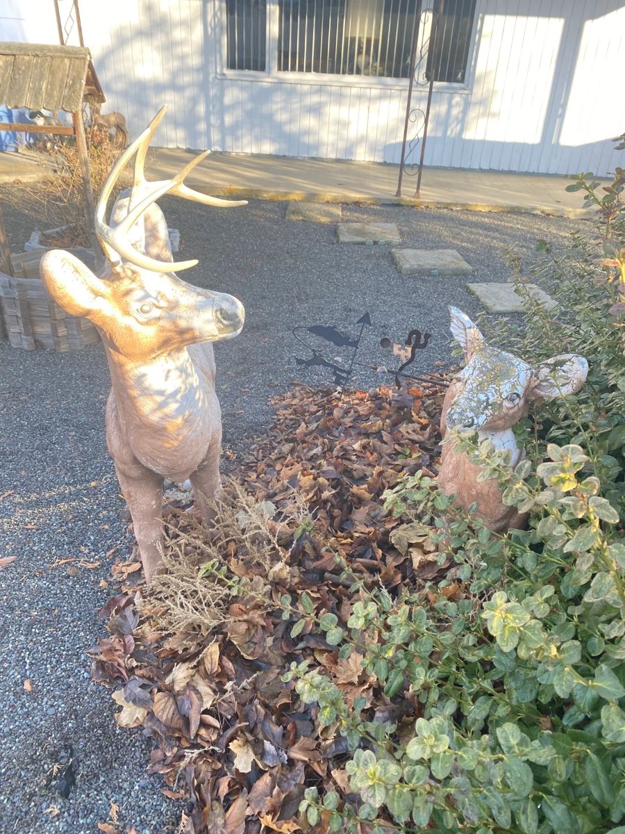 Sweet Sale in Colton starts on 1/20/2024