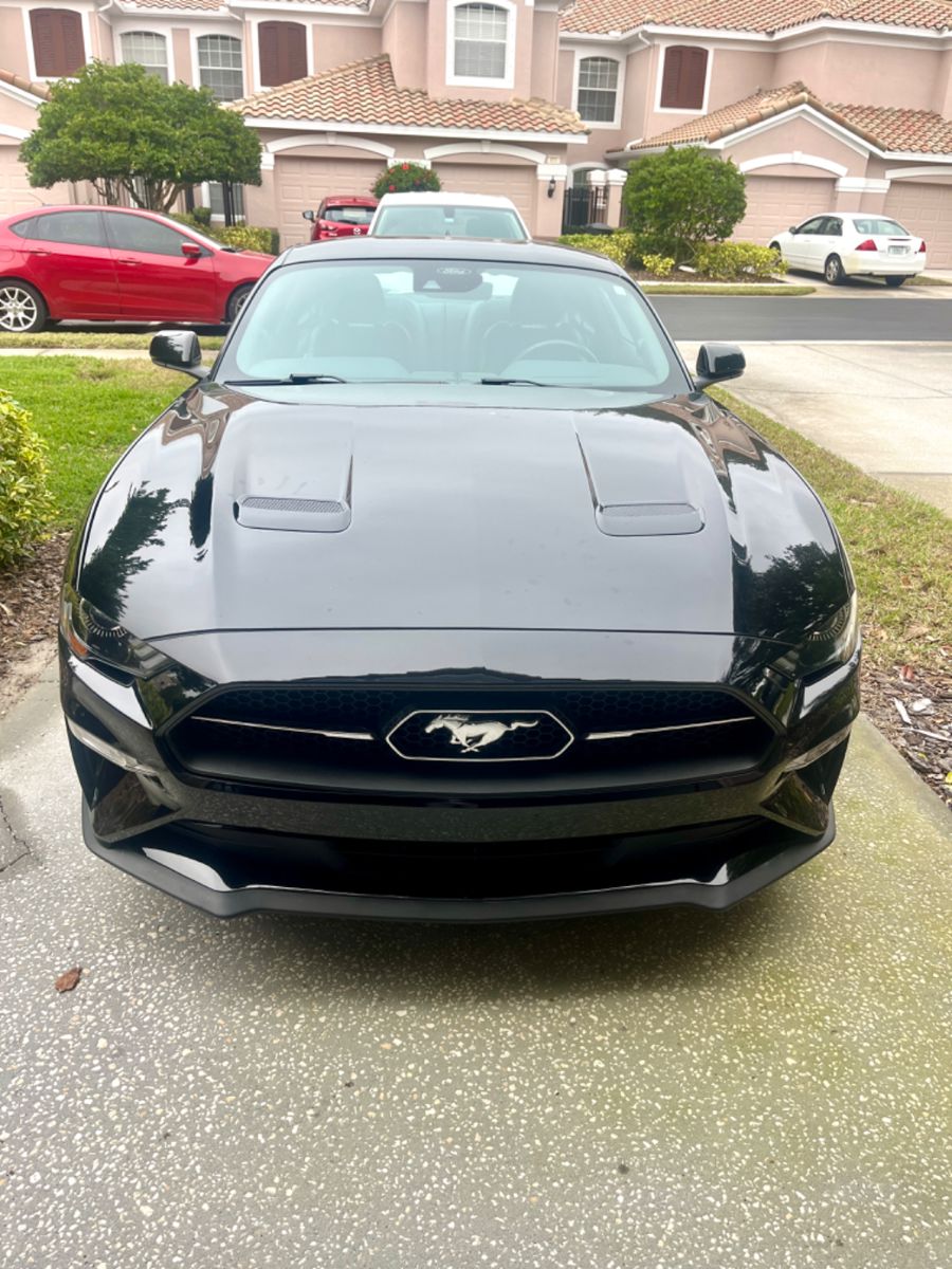 Castaway Is In Clearwater With Beautiful... starts on 1/26/2024