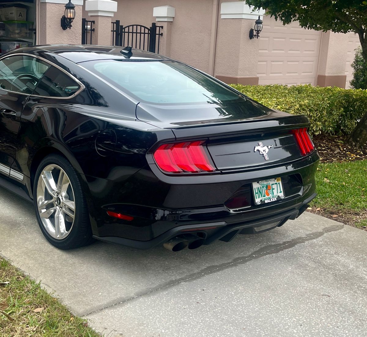 Castaway Is In Clearwater With Beautiful... starts on 1/26/2024