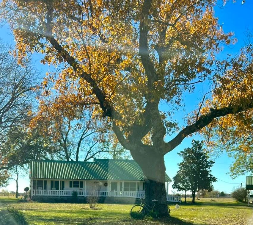 Come Explore in Emory with Estate of Texas! starts on 2/1/2024