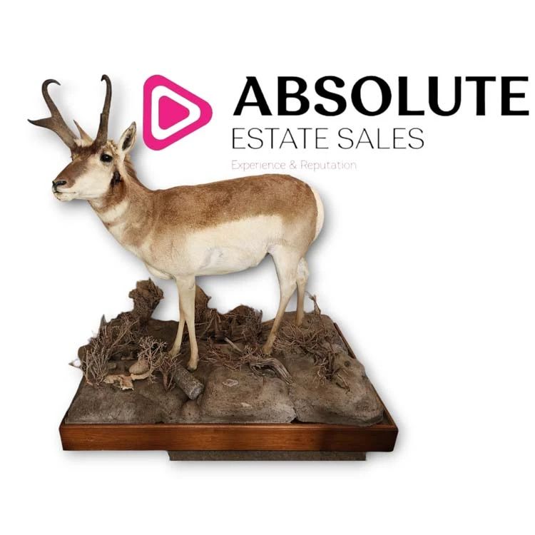 Goody Root Beer Sign, Ryan Mataway Overseeder,... starts on 2/1/2024