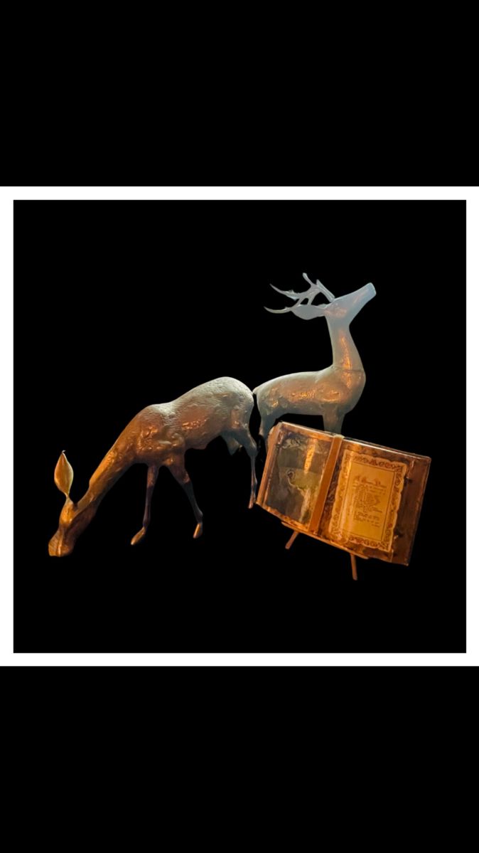 Vintage in Laguna Woods starts on 2/14/2024