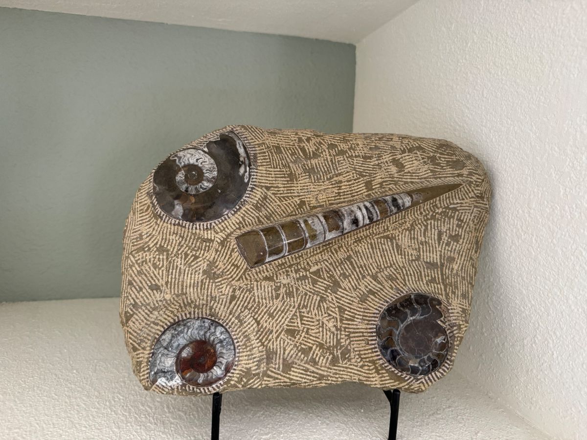 CONTEMPORARY FURNISHINGS & COLLECTIBLES IN... starts on 3/22/2024