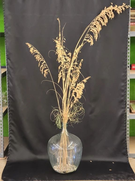 THE CLARKE LIVING ESTATE DOWSIZING: PART 1 starts on 2/18/2024