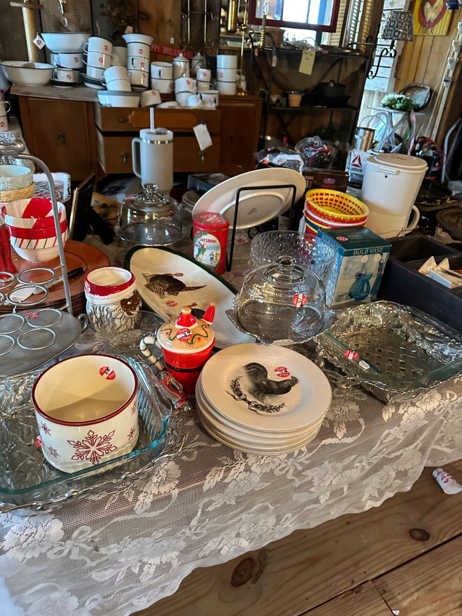 LACE EMORUM COLLINS DRIVE in Cleveland, TN starts on 3/8/2024