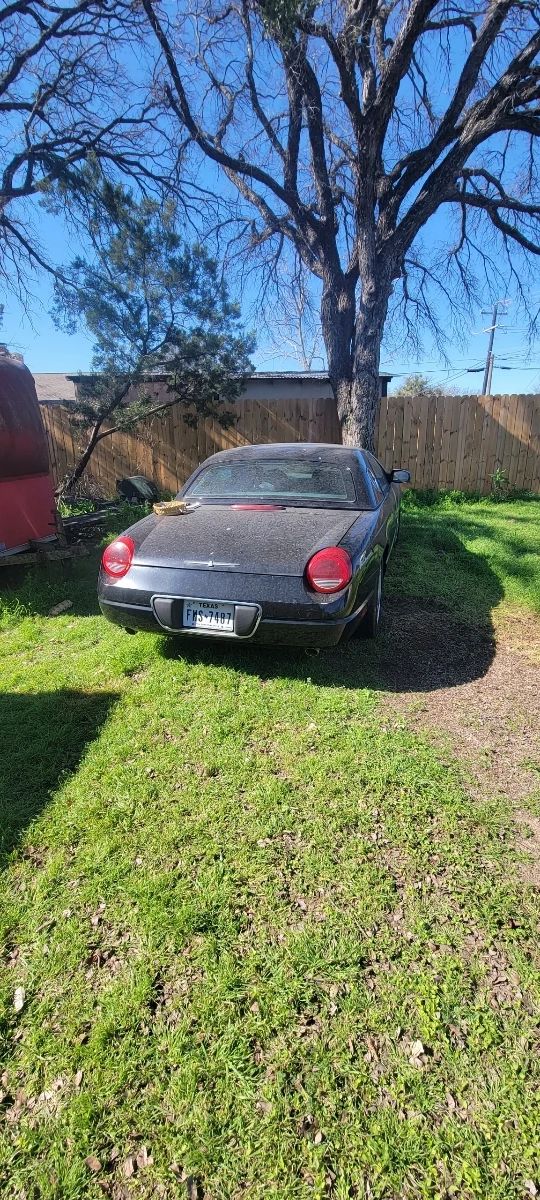 Georgetown Estate Sales starts on 3/15/2024