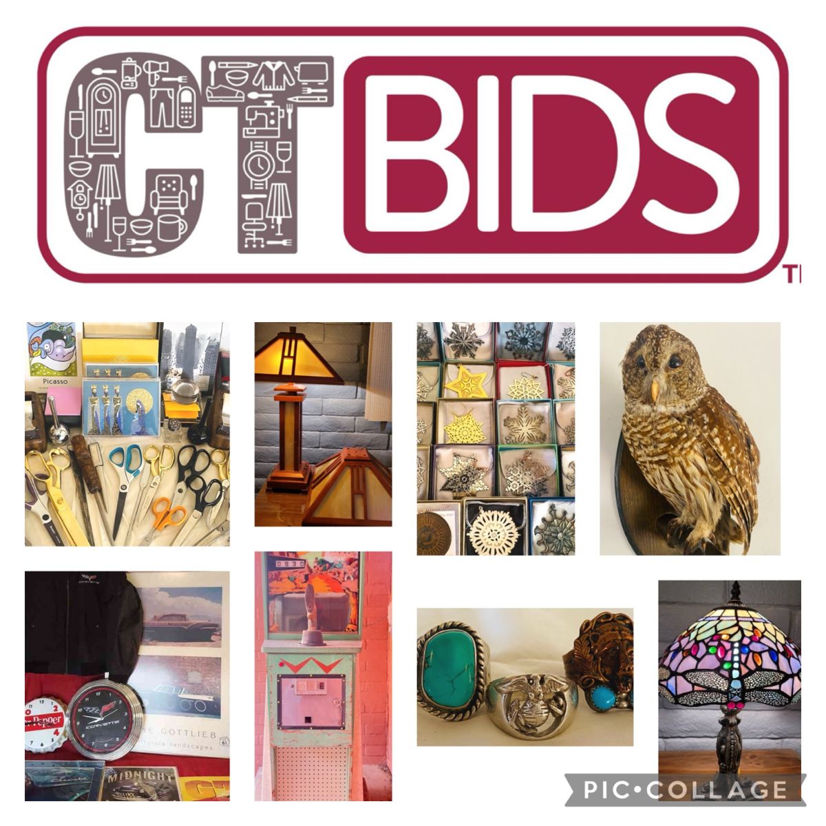CTBIDS In-Home Online Auction | SUNROCK LN... starts on 3/7/2024