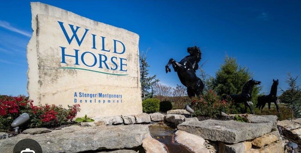 High End- Wild Horse Sale in Springfield, MO starts on 5/16/2024