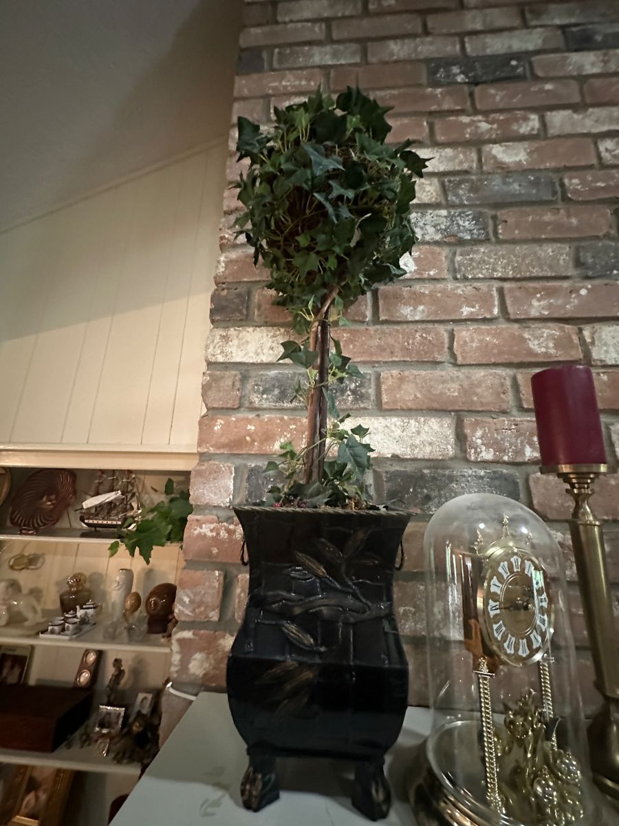 Estate of Kenneth and Bernice Coleman starts on 4/6/2024