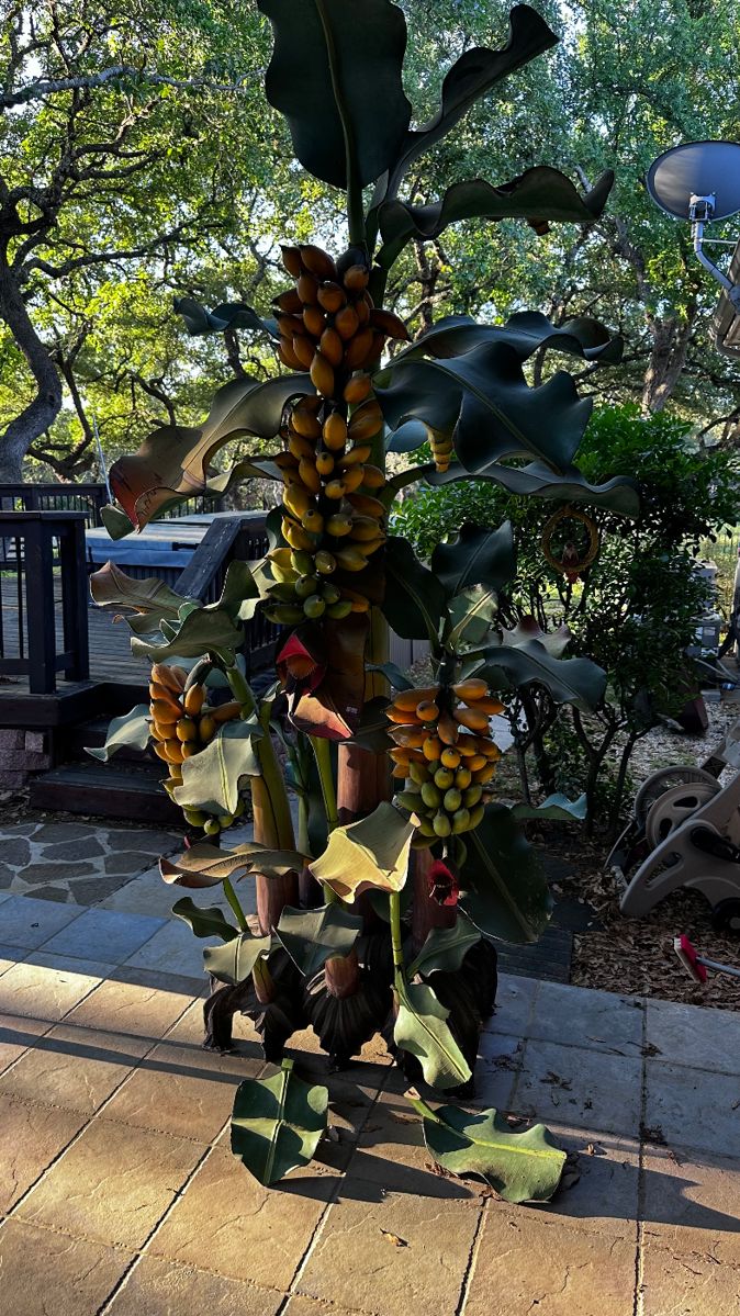 MONARCH - 50% off Paintbrush Path Sale starts on 4/4/2024