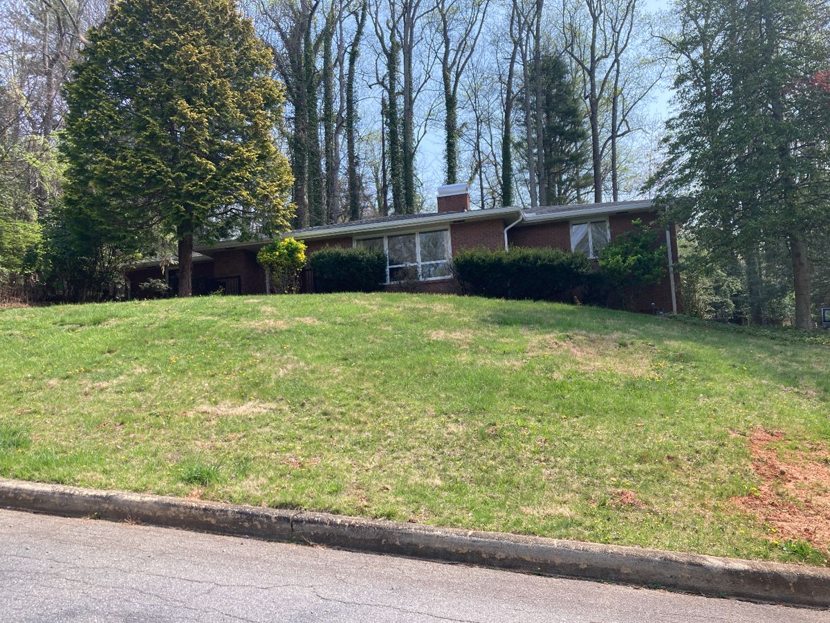 MCM Estate Sale with Kitsch Resaler Downsizing starts on 4/5/2024