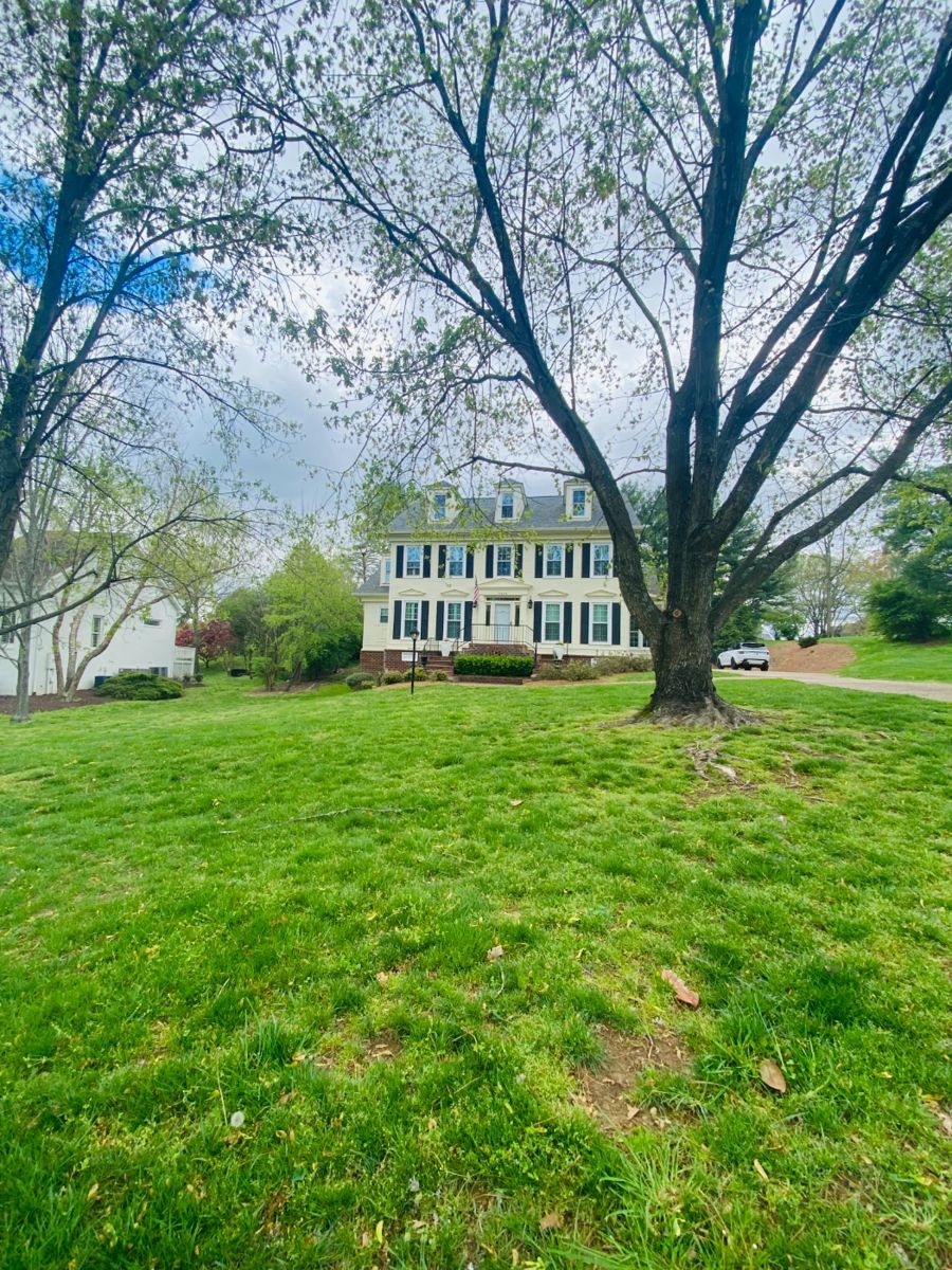 Introducing... Blue Moon Estate Sales in... starts on 4/20/2024