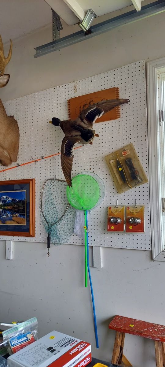 Living Estate Sale of Melissa DeLong starts on 4/11/2024