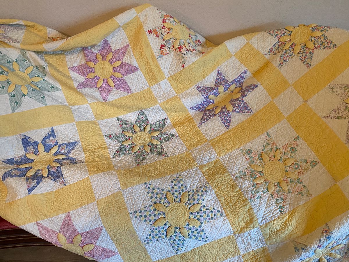 New Braunfels starts on 5/9/2024