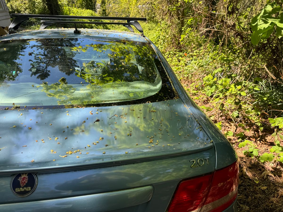 50%. OFF SATURDAY!!! Great Queen Anne Sale!... starts on 4/19/2024